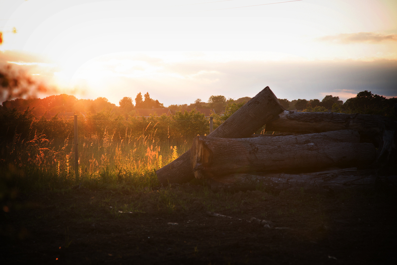 Our Races – Raw Trails Events