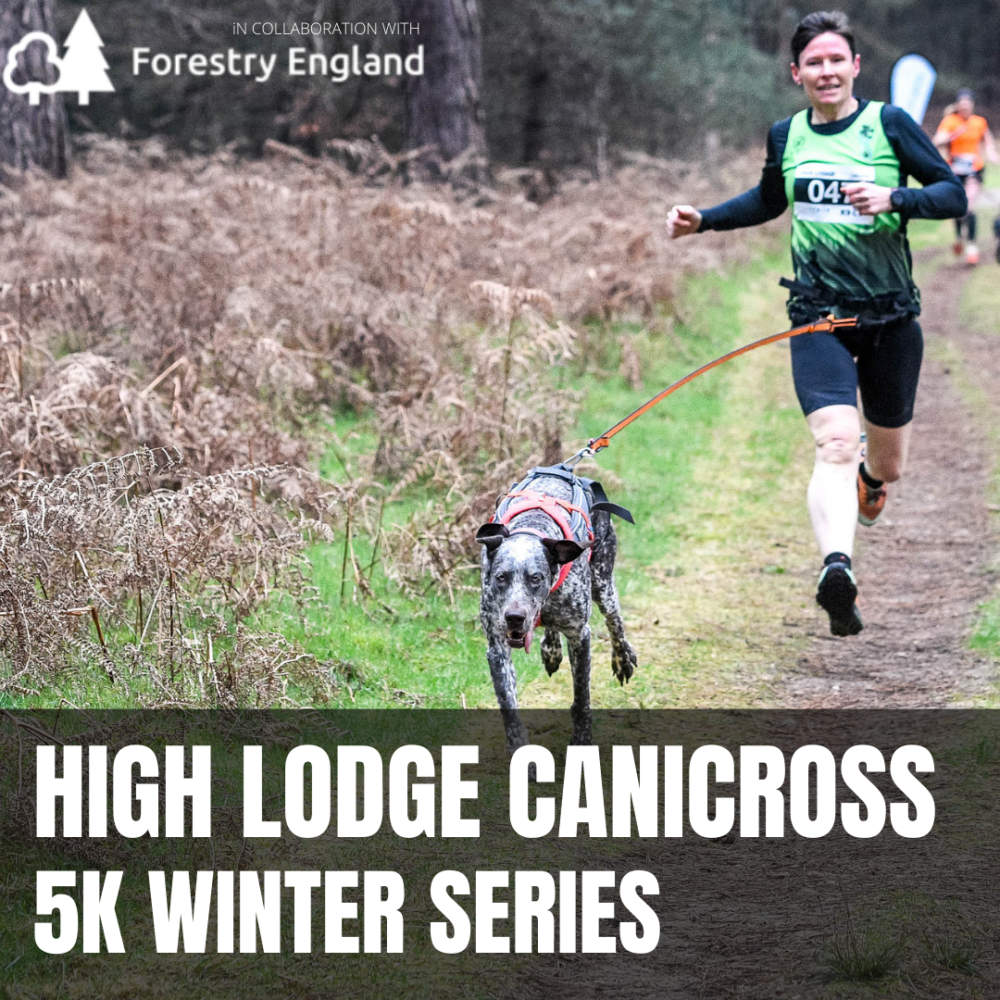 High Lodge CaniCross Race Two – Raw Trails