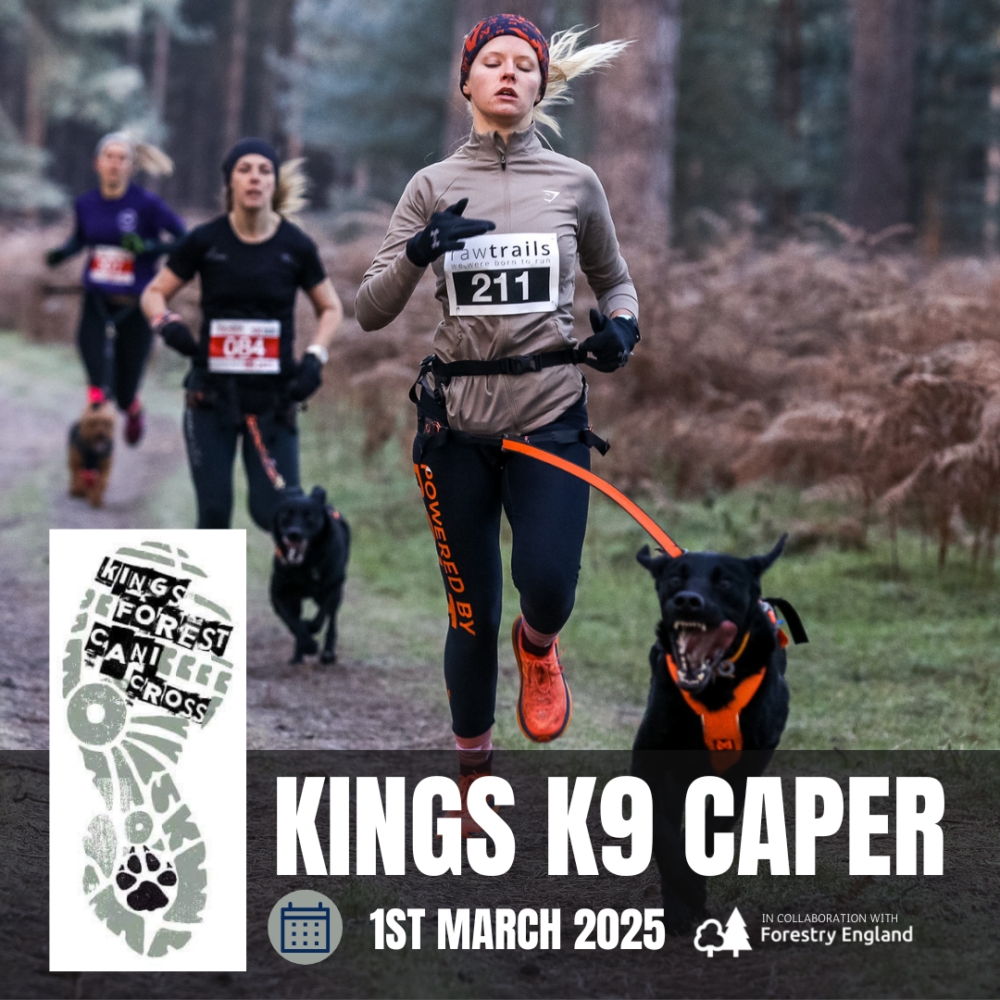 KINGS K9 CAPER – Raw Trails